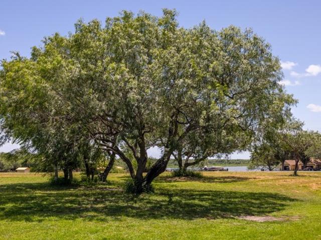Lakeshore Lot 24, Sandia, TX 78383