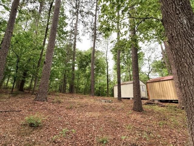 Lakeshore Pt, Livingston, TX 77351