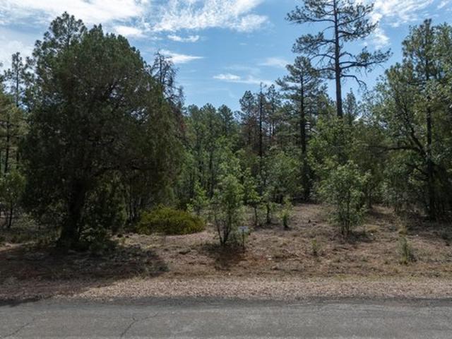 Lakeside, AZ 85929