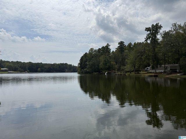 Lakeside Cir Lot 31, Delta, AL 36258