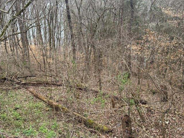 Lakeside Dr Lot 109, Smithville, TN 37166