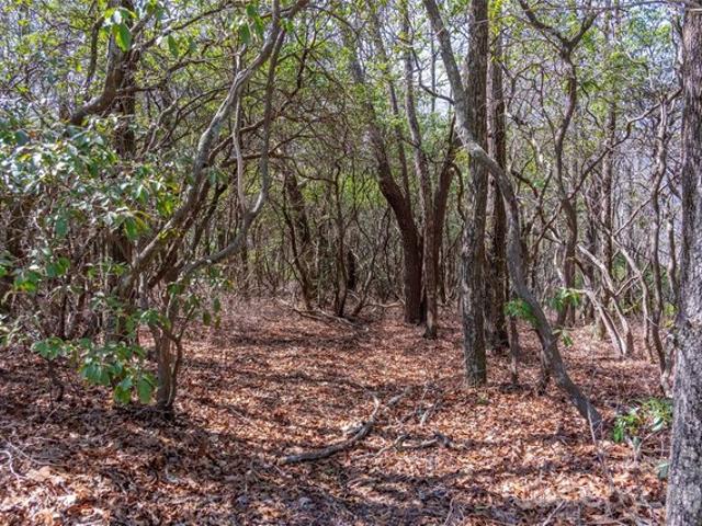 Lakeside Dr Lot 14, Lake Toxaway, NC 28747