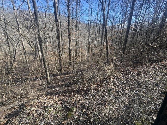 Lakeside Dr, Smithville, TN 37166
