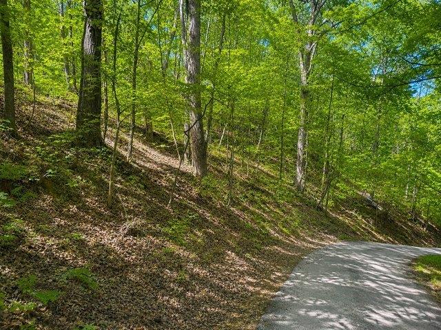 Lakeside Dr, Smithville, TN 37166