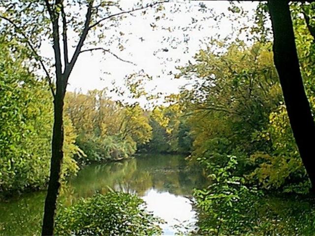 Lakeside Four Lakes_Beautiful 1 Bdrm CondoWalkout
