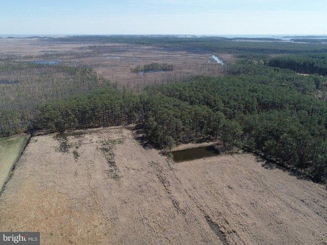 Lakesville Crapo Rd, Church Creek, Plot For Sale