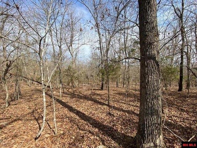 Lakepointe Dr Lot 4, Clarkridge, AR 72623