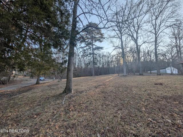 Lakewood Village Rd, Spring City, TN 37381