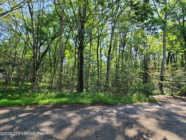 Lakewood Ct Lot 23R, Canadensis, PA 18325