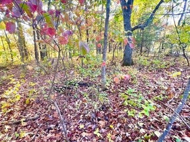 Lakewood Ln Lots 4,5,6 and 7, Barnett, MO 65011