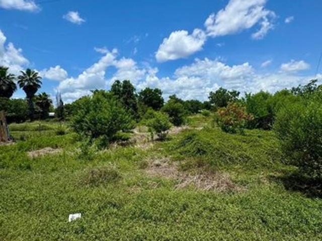 Lakeview Dr # 3, Markham, TX 77414