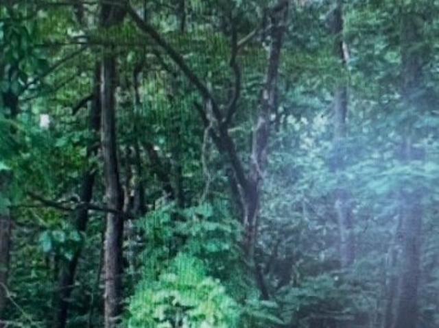 Lakeview Dr, Wantage Township, Plot For Sale