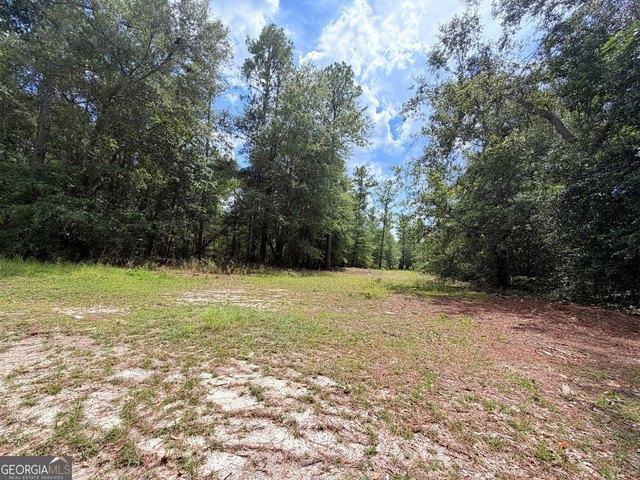 Lakeview Dr, Alamo, GA 30411