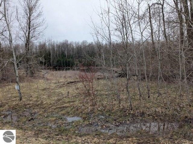 Lakeview Dr, Hale, MI 48739