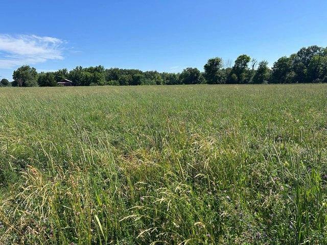 Lakeview Dr Lot 1, Rushville, IL 62681