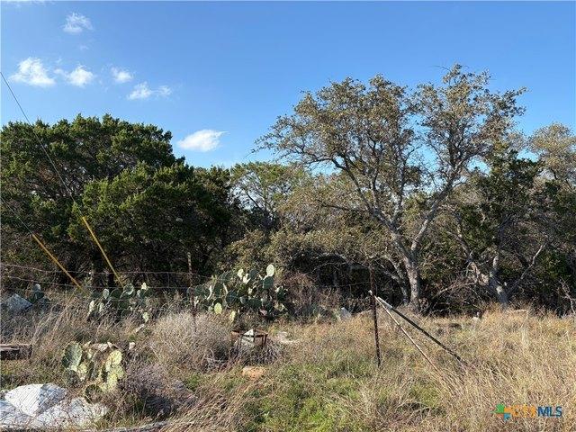 Lakeview Dr Lot 220 224, Burnet, TX 78611