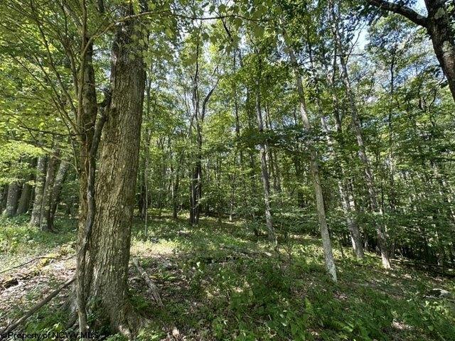 Lakeview Dr Lots 106 & 107, Terra Alta, WV 26764