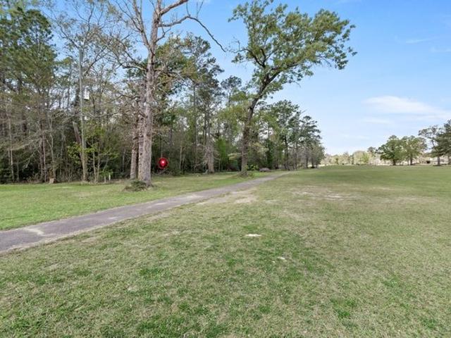 Lakeview Dr, Sour Lake, TX 77659