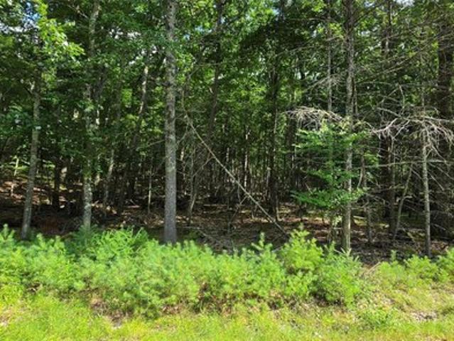 Lakeview Drive Rd Lot 3425, Highland Lake, NY 12743