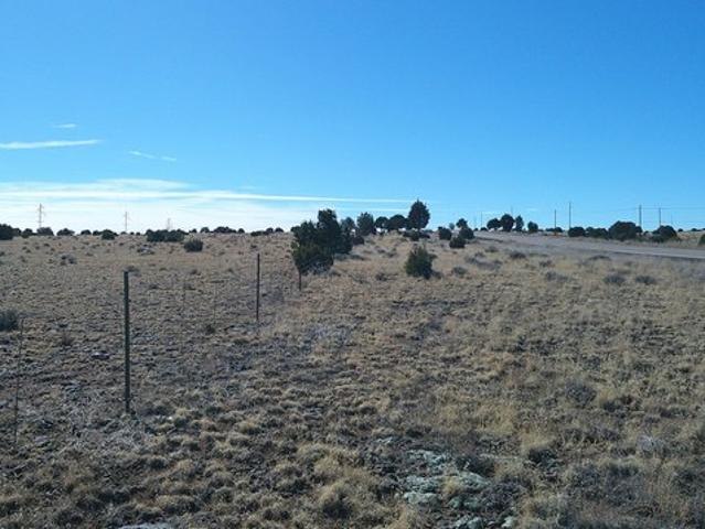 Lakeview Rnch # 40, Concho, AZ 85924