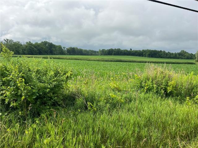 Lakeville Road