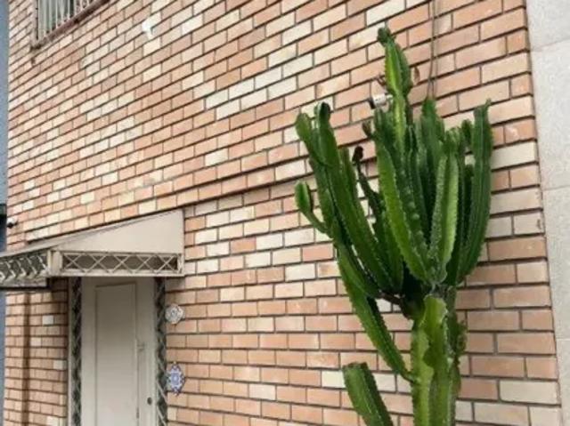 Lapa casa/sobrado para alugar ou comprar
