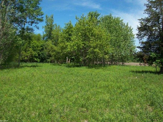 Lapeer Rd Lot 1, Kimball, MI 48074