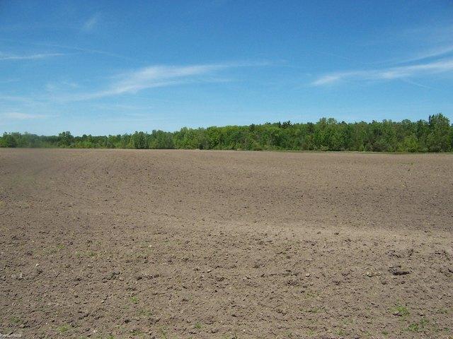Lapeer Rd Lot 7, Kimball, MI 48074