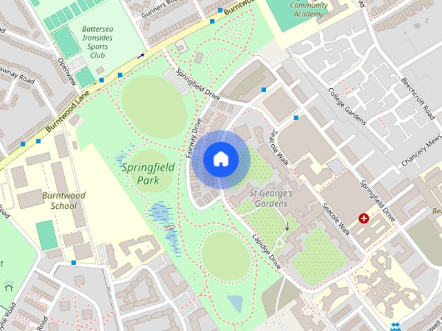 Lapidge Drive, London, SW17