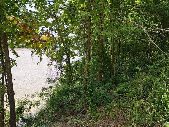 Lapraire Rd, Marksville, LA 71351
