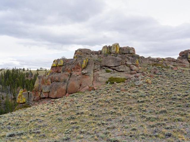 Laramie Overlook Rd, Livermore, CO 82070