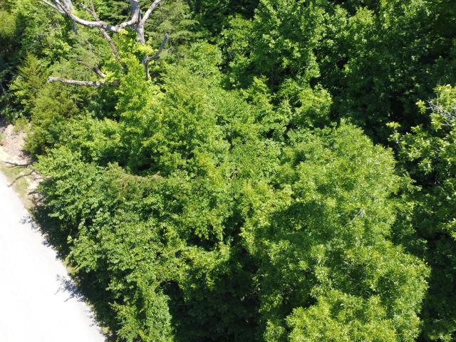 Larayne Hollow Rd 924, Sharps Chapel, TN 37866
