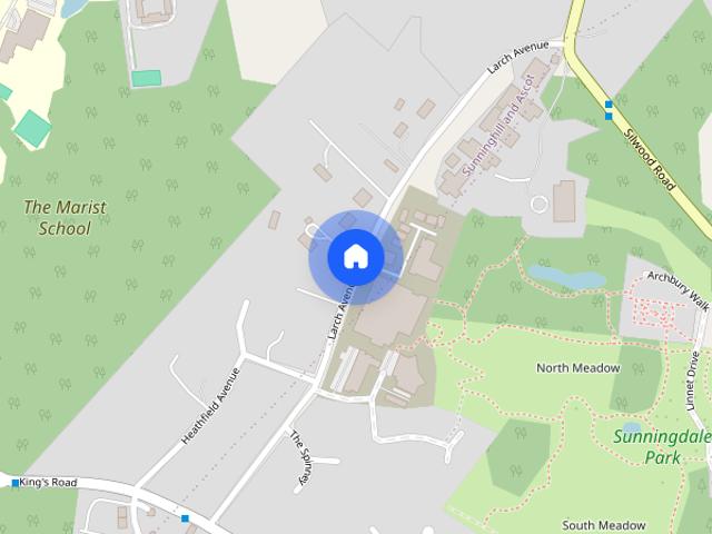 Larch Avenue, Ascot SL5