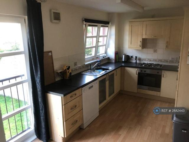Larch St, Dundee, DD1 5 bed semi detached house to rent £2,254 pcm £520 pw