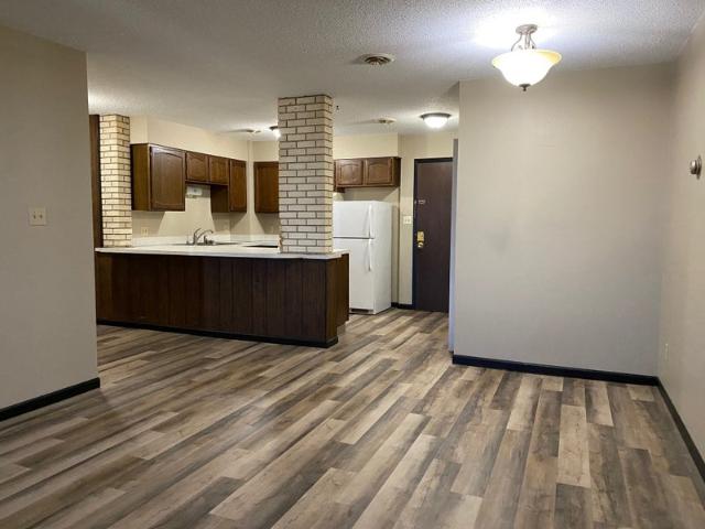 Large 1 Bedroom Condo near UND! Central ACElevator