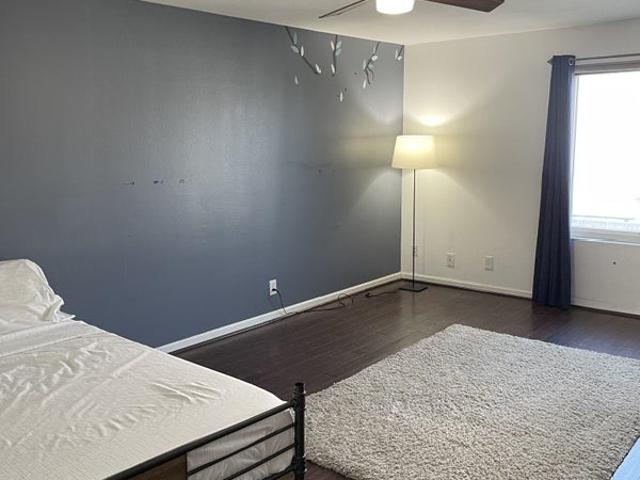 Large 20x13 Bedroom in Venice Beach Condo