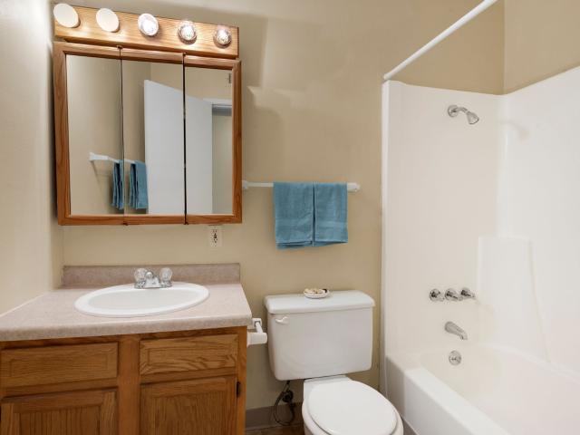 Large 3 Bedroom Apartments PET FRIENDLY!