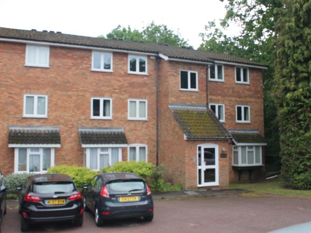 Large Two Bedroom Apartment