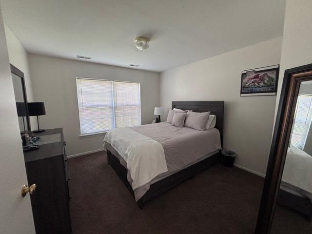 Large bedroom and lower level living room