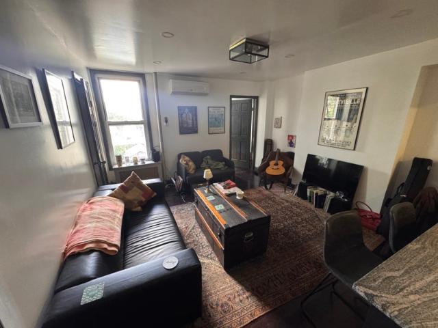Large Bedroom in a 2bd/2br in Greenpoint, Brooklyn