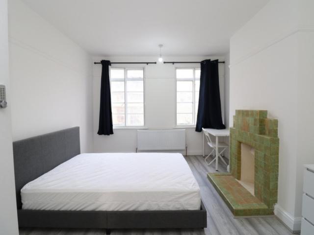 Large double bedroom in Ealing Has a Room