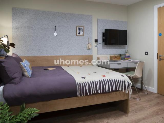 Large Double Studio