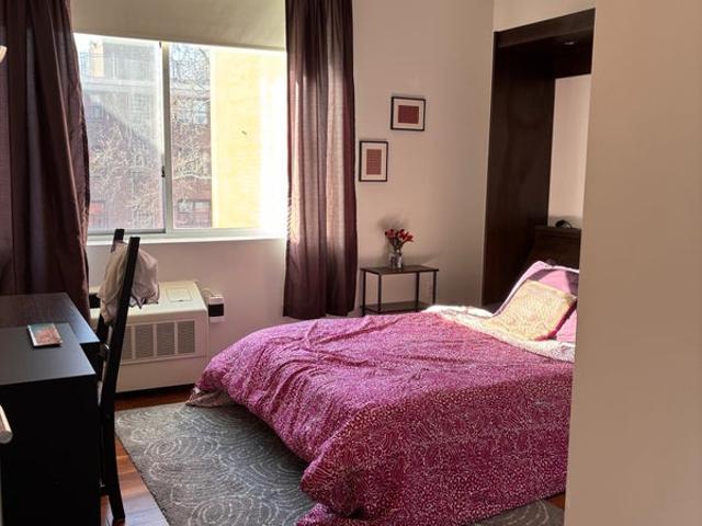 Large Furnished Bedroom in Sunny Boerum Hill Apt