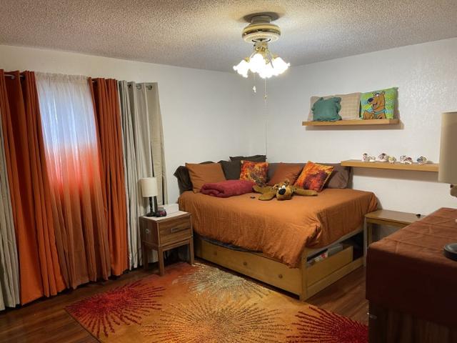 Large furnished room, eventually shared bathroom