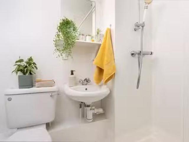 Large High Double Ensuite: Three Bed Flat