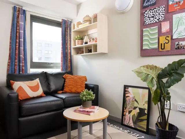 Large High Double Studio