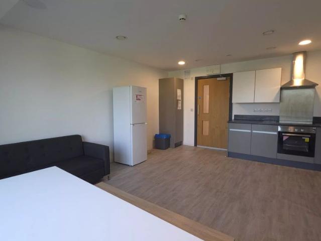 Large High Double Studio