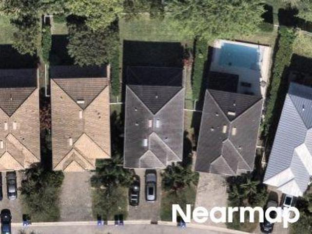 Large Leaf Ln