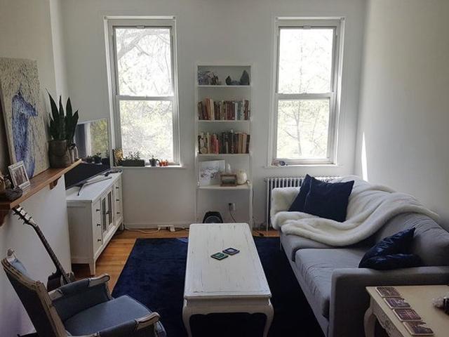 Large Light Filled Room on Park in Greenpoint