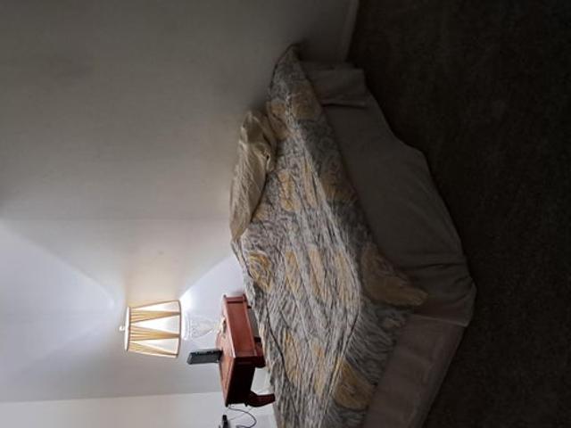 Large master bedroom / bathroom for rent